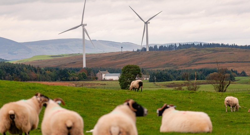 Net Zero Week: Piecing together the energy jigsaw puzzle